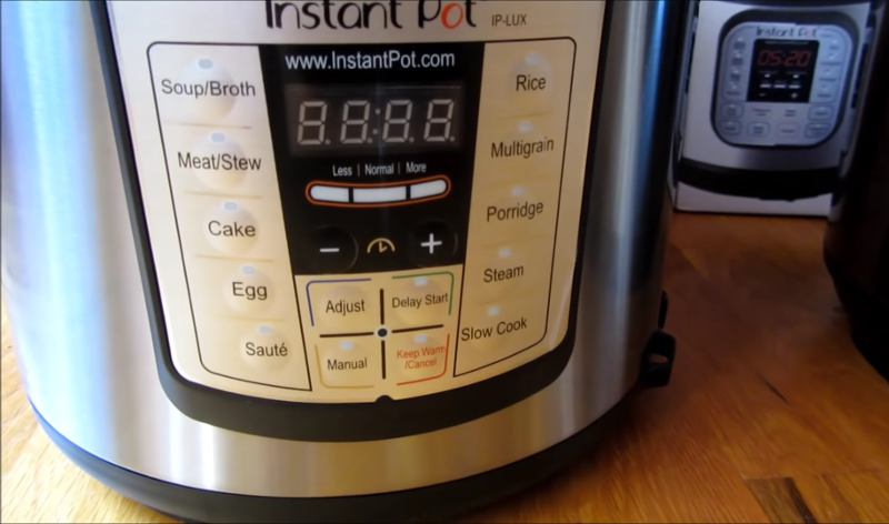 Instant Pot Lux60 vs Duo60 – Which Instapot should you buy? | Review